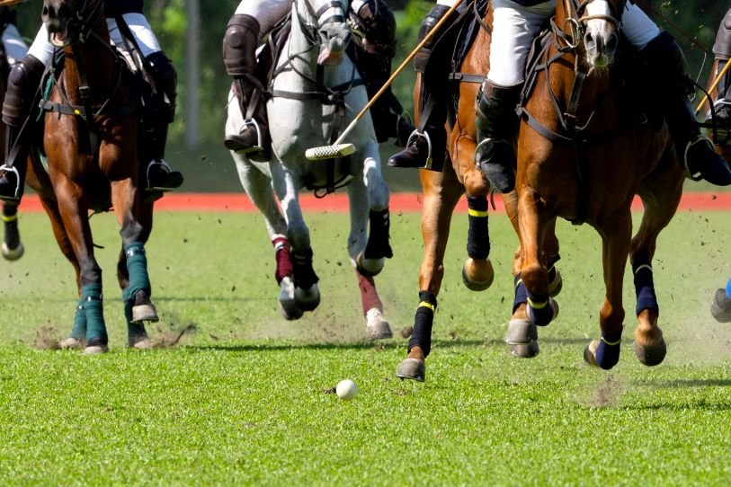 Polo icon John Gobin accused of Sexual Assault